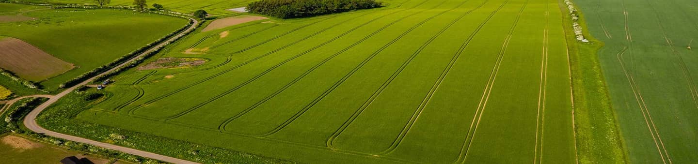 CLASS – система поддержки принятия решений на основе полного и ...